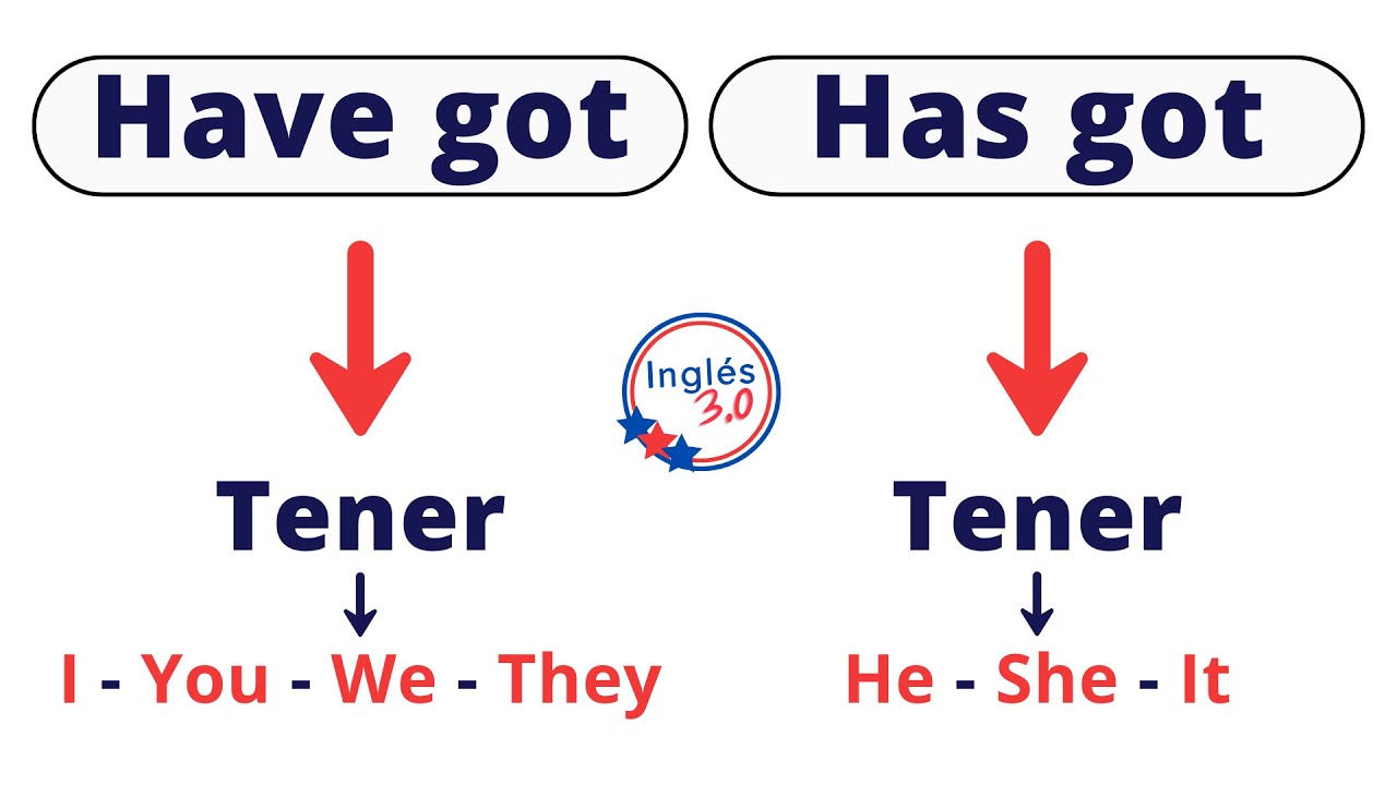 Have got y Has got | Usos y Diferencias - YouTube