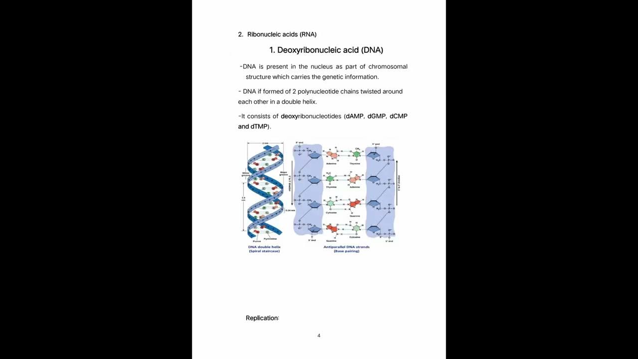 Lecture 8 (Part 2): Nucleotides - YouTube