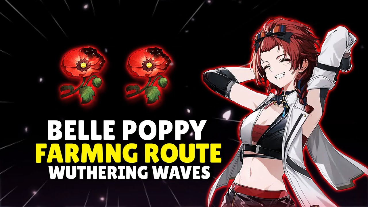 BELLE POPPY FAST FARMING ROUTE | WUTHERING WAVES - YouTube