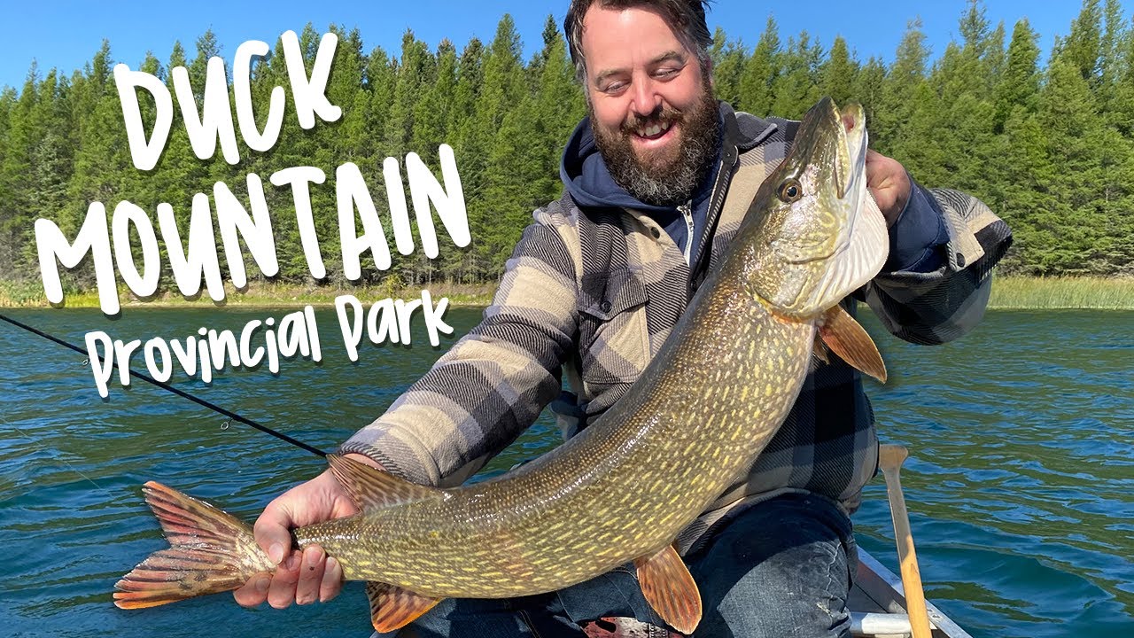 Canoe Fishing Adventure in Duck Mountain Provincial Park – Trophy Pike ...
