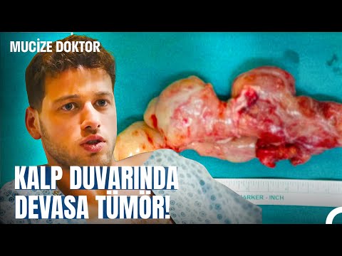 İçimdeki Canavarlar | Hayatının Tam Ortasına Yerleşen Risk - Mucize Doktor