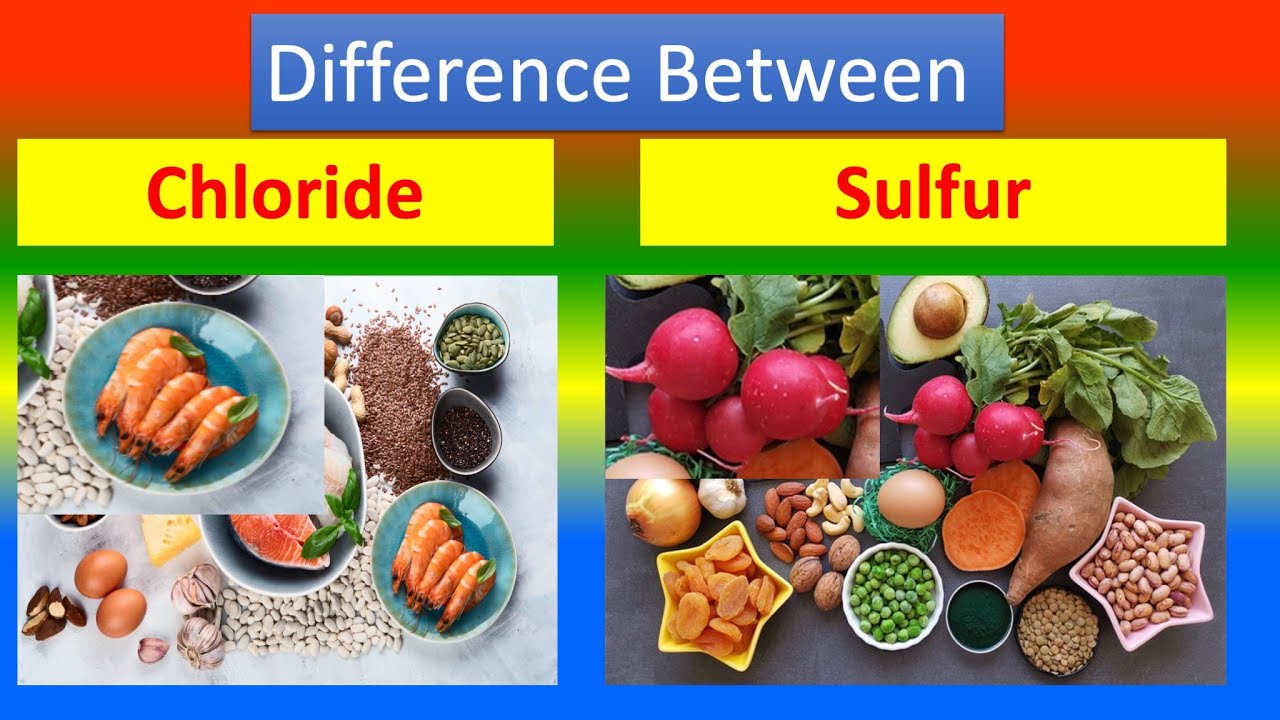 Differences Between Medical And Health Benefits Of Chloride and Sulfur ...