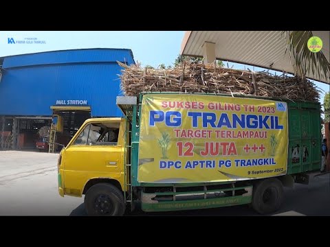 Akhir Giling PG Trangkil 2023 - YouTube