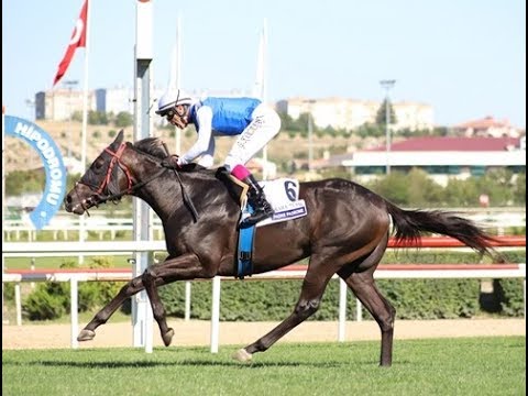 Karayel Koşusu (Grup - 1) 11/08/2018