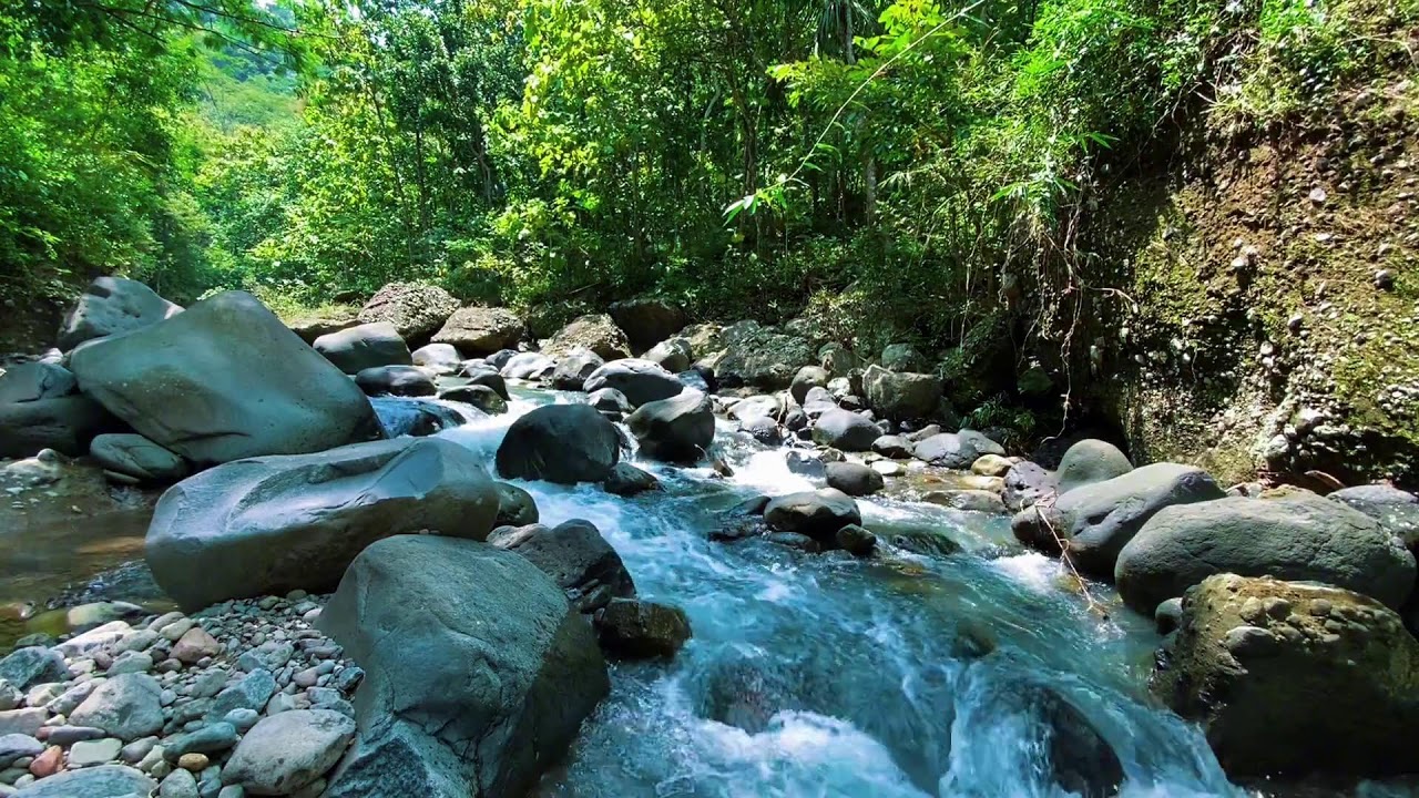 Ambient River Water Sounds for Relaxation and Quick Sleep | Nighttime ...
