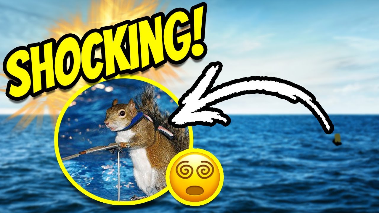 Amazing Animal Feats: Unbelievable Behavior and Abilities - YouTube