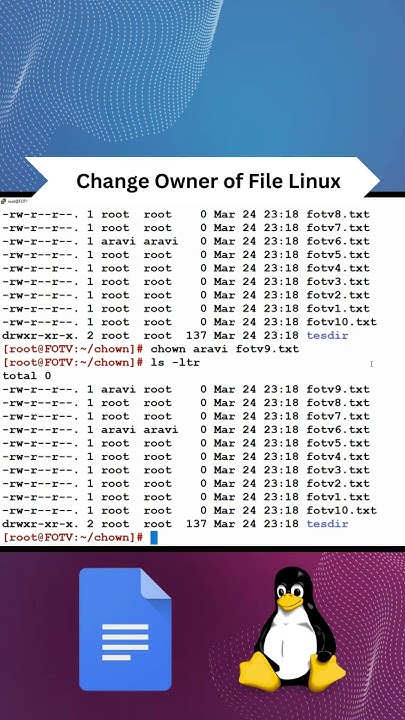 Change Owner of File in Linux #command #change #ownership #of #file # ...