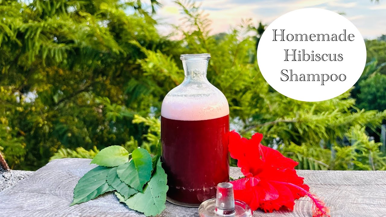 Ancient Indian Natural Shampoo Recipe You Can Make at Home"| For ...