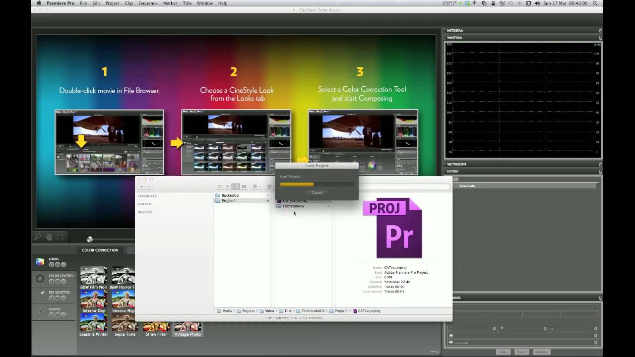 Technicolor Color Assist Premiere Pro Media Management Issue - YouTube