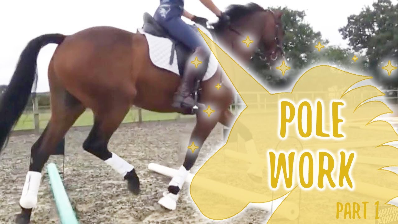 Equine Pole work exercises for horses ideas part 1 | Shadow The Unicorn ...