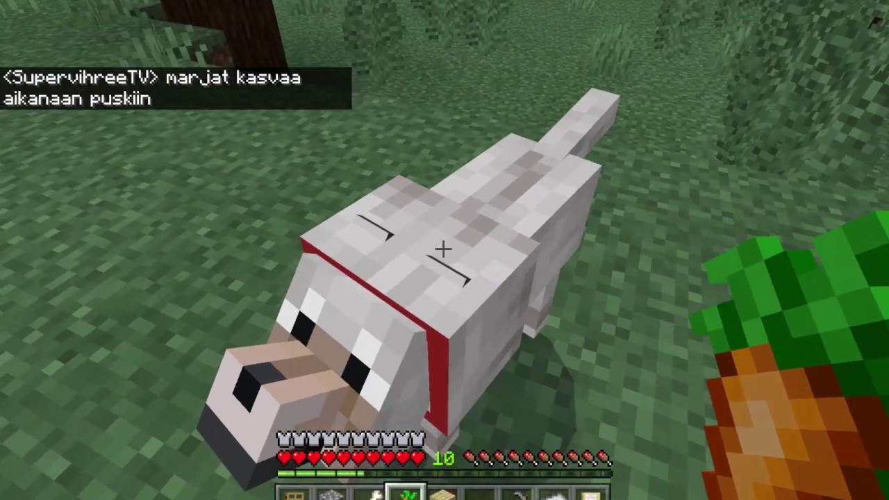 Survisarja SupervihreeTV:n kanssa, osa 17 Kuusimetsä - YouTube