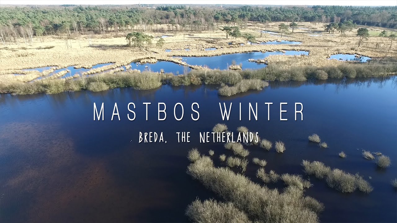 Mastbos Breda Winterdag - Breda, The Netherlands - DJI Phantom 3 ...
