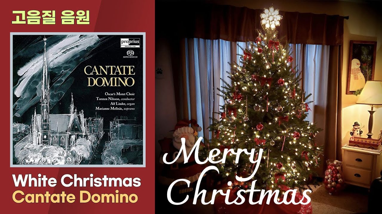[고음질 음원] 메리 크리스마스. Zither Carol, White Christmas. Cantate Domino ...