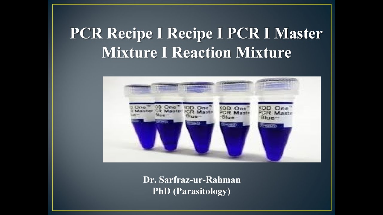PCR Recipe I Recipe I PCR I Master Mixture I Reaction Mixture - YouTube