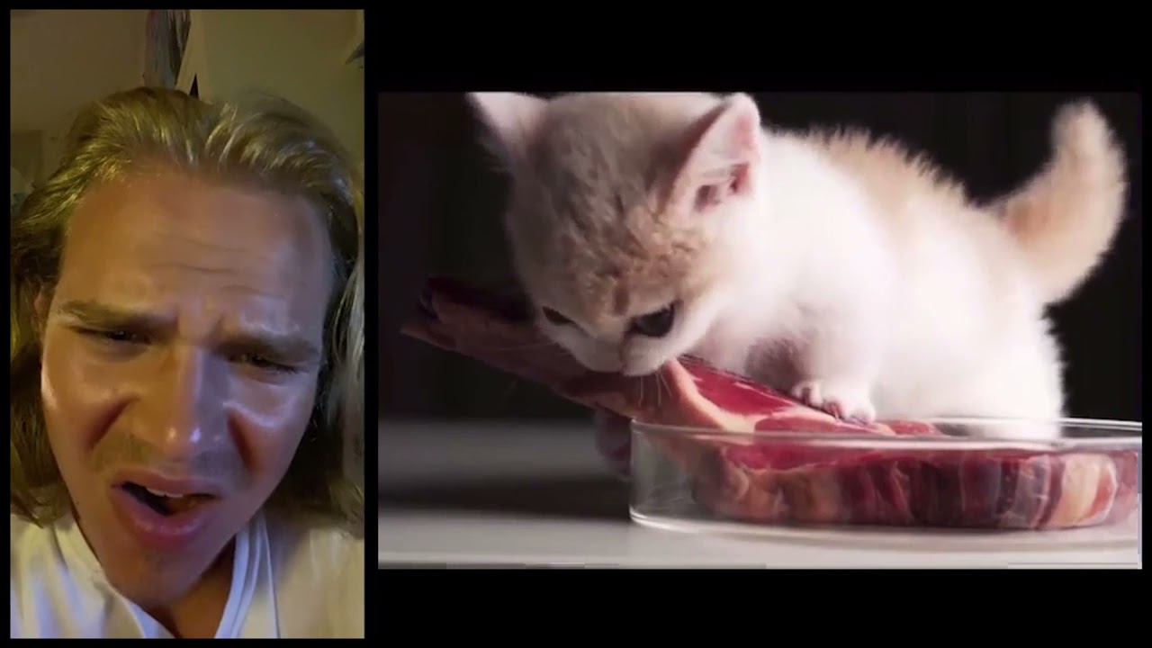 Dubious Little Creature - YouTube