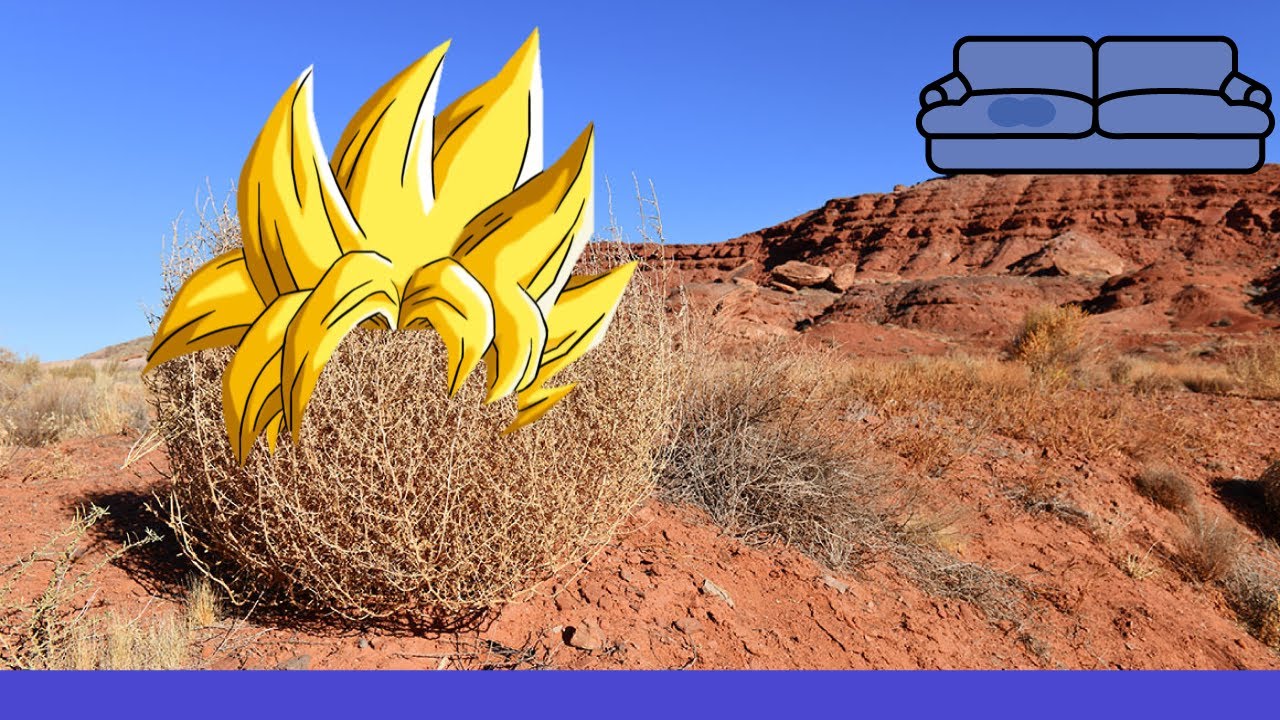 The best weed we've ever had | Tumbleweed Destiny - YouTube