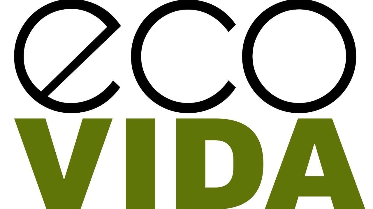 Projeto Integrador - EcoVida - YouTube
