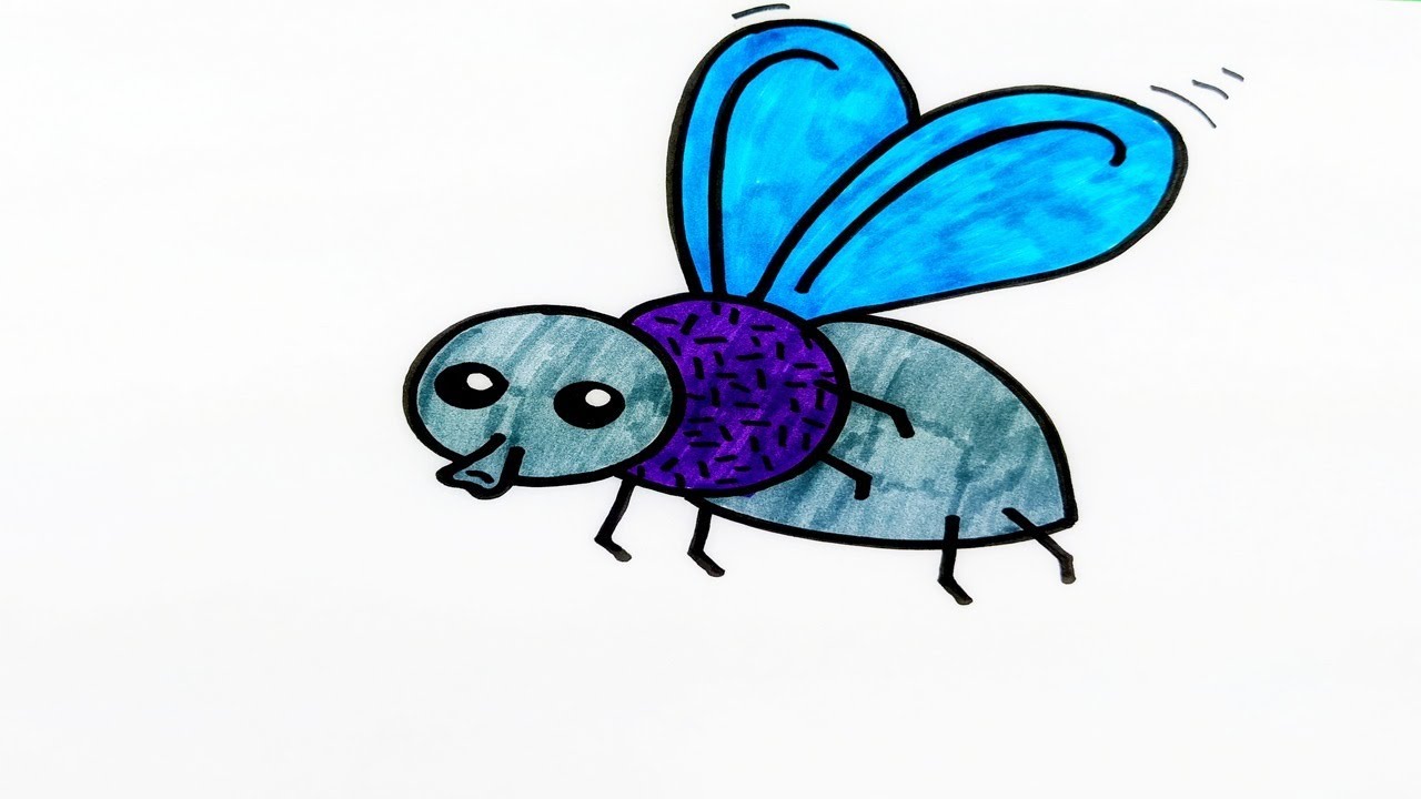 How To Draw Cute Fly. Easy. Step by step. Drawing for kids. Як ...
