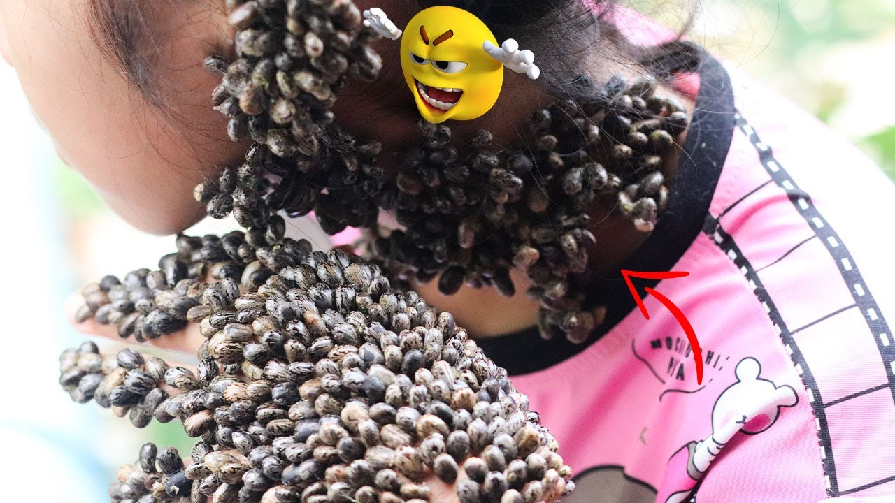 Remove ticks with green seeds#152 - YouTube