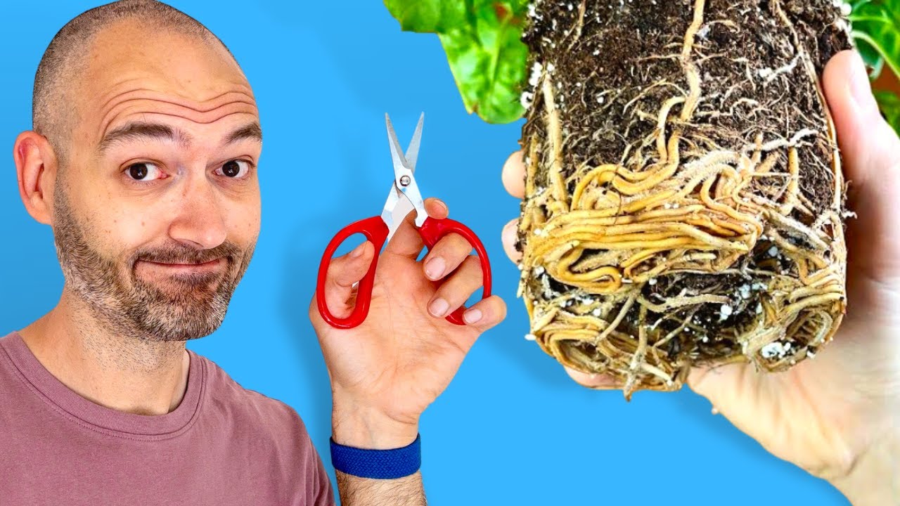 The 1 Hack Plant Experts Do That You're Probably Afraid To - YouTube