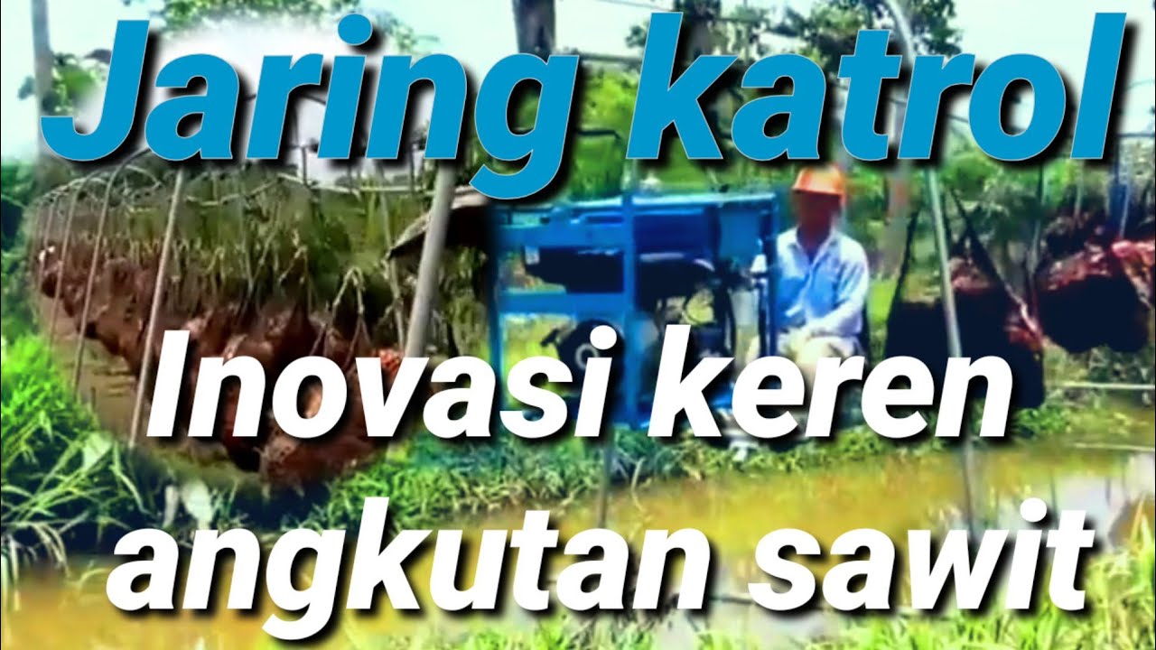 Ini alat angkut sawit modern untuk kelapa sawit - YouTube