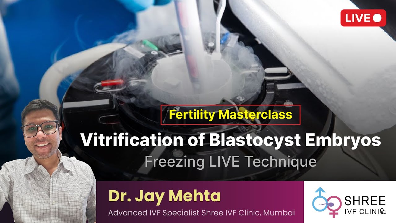 Fertility Masterclass 73: Vitrification of Blastocyst Embryos (Freezing ...