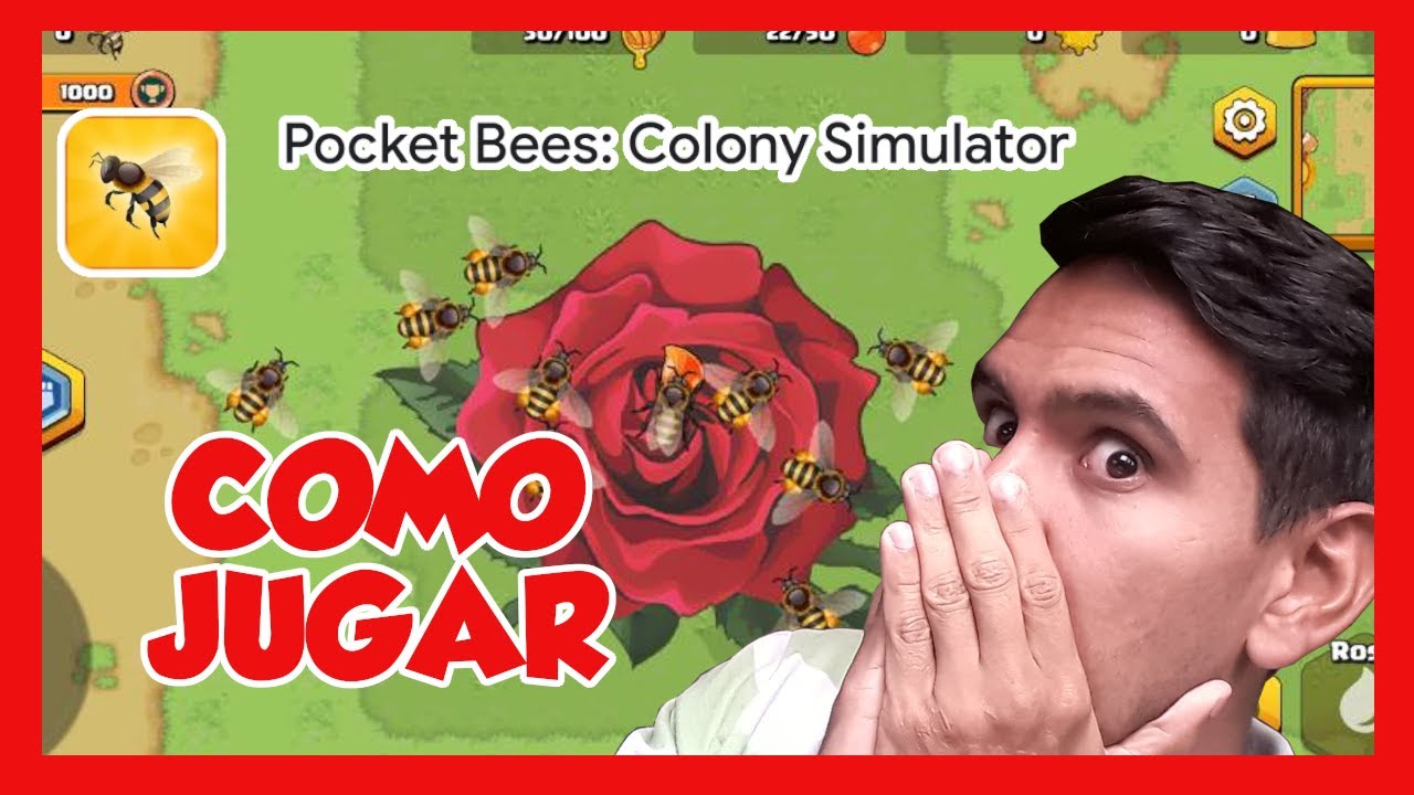 COMO INICIAR EN POCKET BEES simulador colmena Gameplay español - YouTube