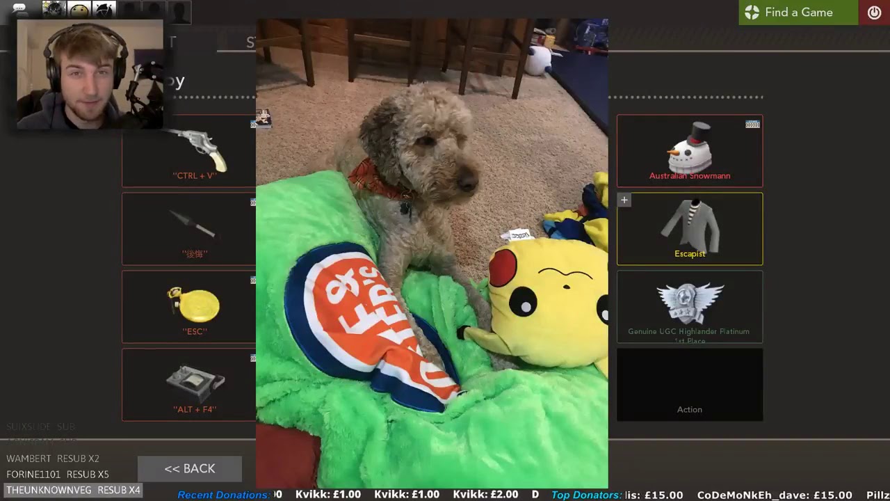 A woolen sleevelet: Reviewing Henry the carpet friend - YouTube