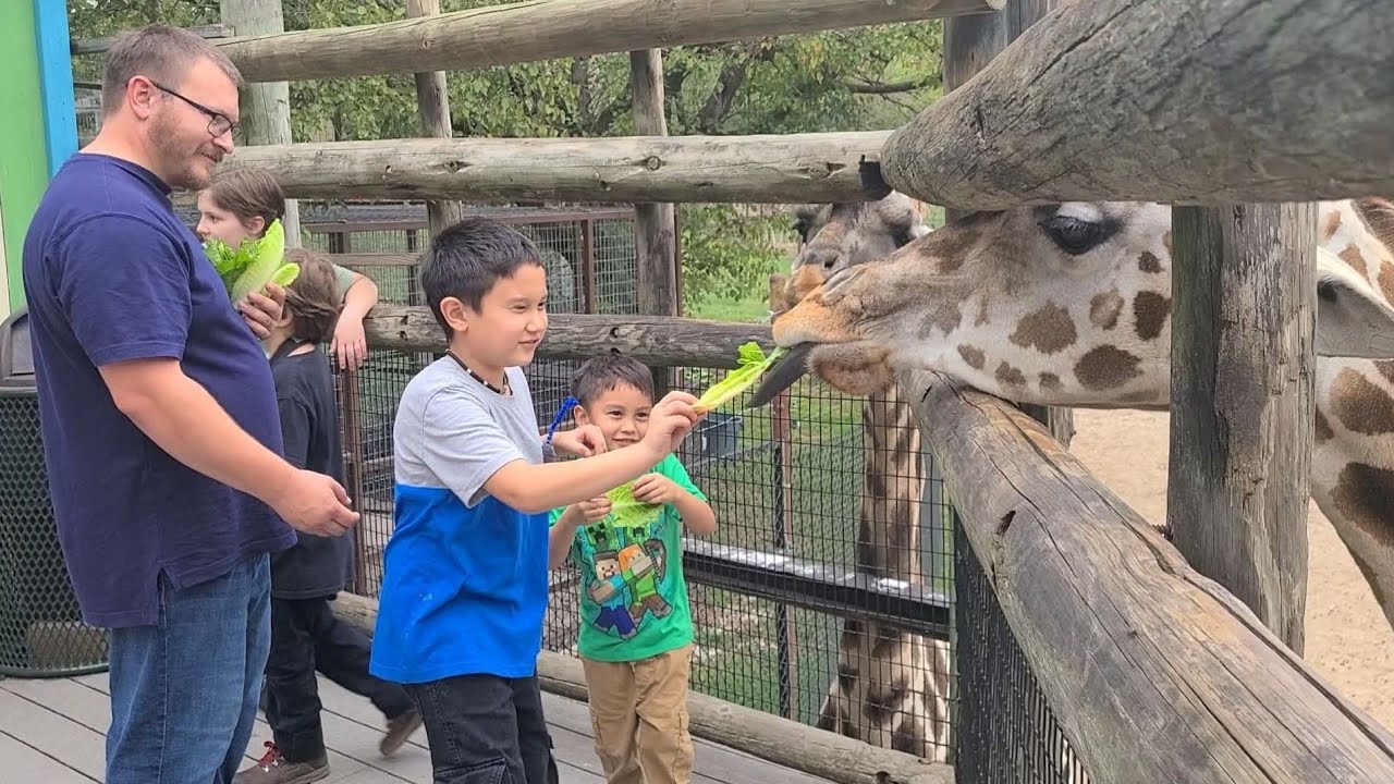 DICKERSON PARK ZOO | SPRINGFIELD, MO - YouTube