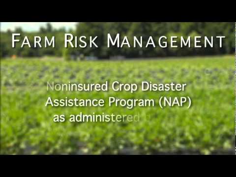 Highway View Farm, Boscawen NH - YouTube