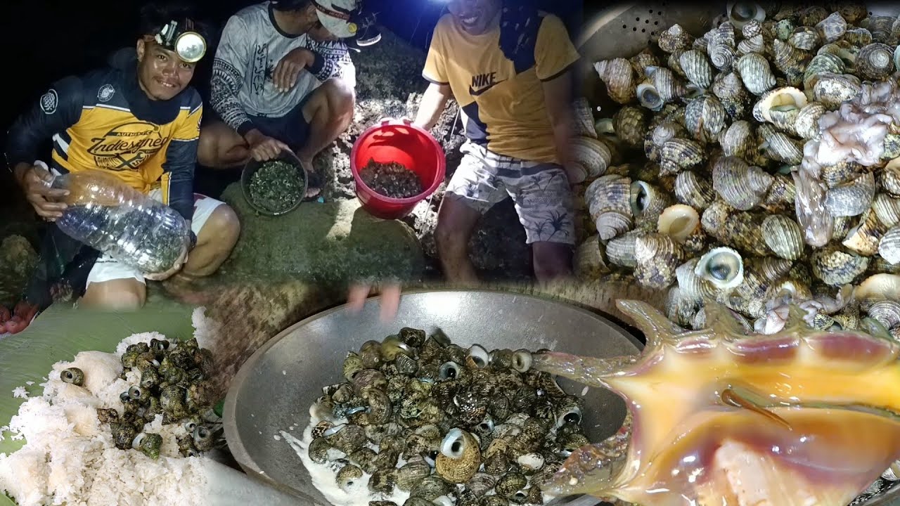 CATCH COOK & EAT/ Halos maapakan na Ang mga shells sa subrang dami ...