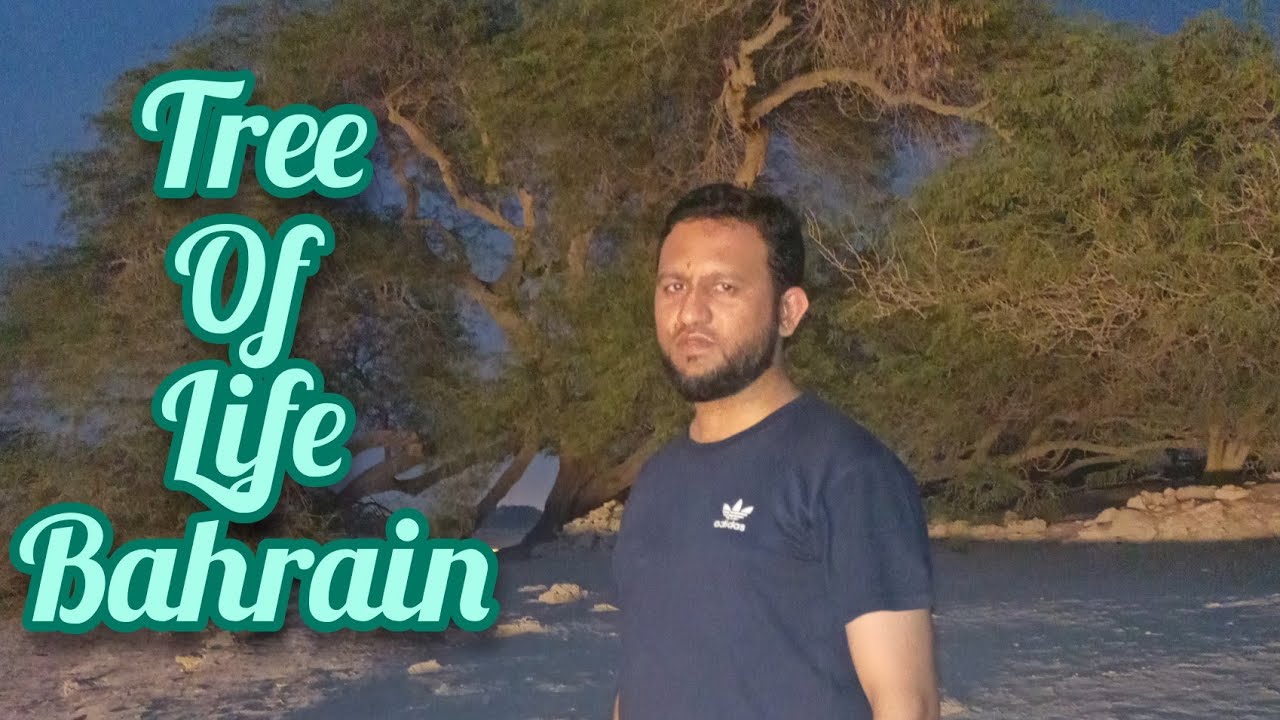 TREE OF LIFE Bahrain - YouTube
