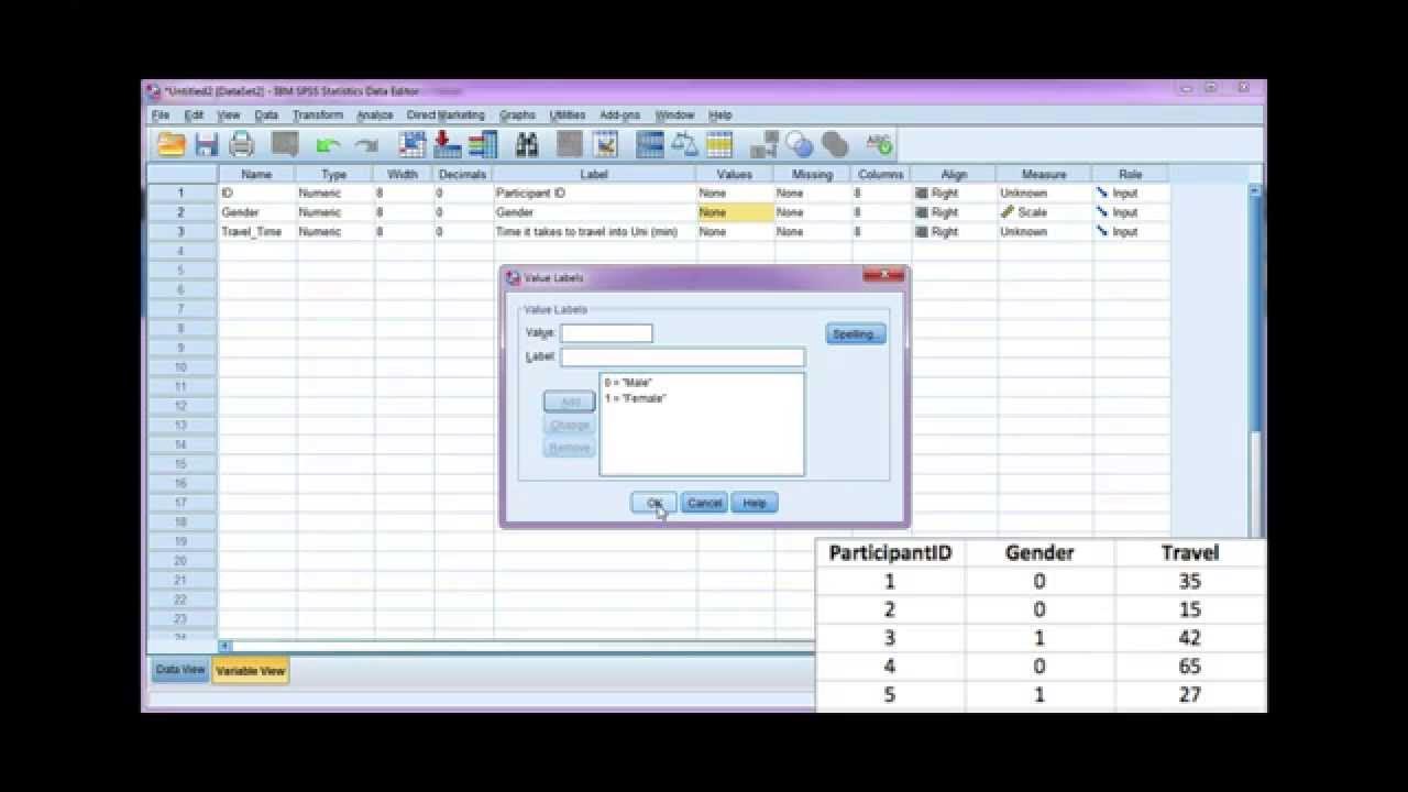 Enter data and define variables in SPSS - YouTube