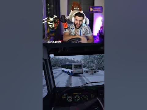 Куда летит?🤔 #steel #стил #staya #стая #stayatwitch #shorts - YouTube