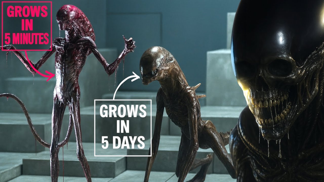 Why Does The ALIEN EARTH XENO Grow SLOWLY? - YouTube