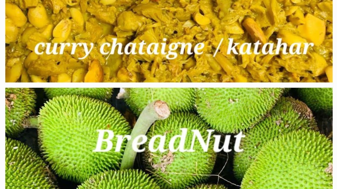 CURRY CHATAIGNE ,KATAHAR ,BREADNUT - YouTube