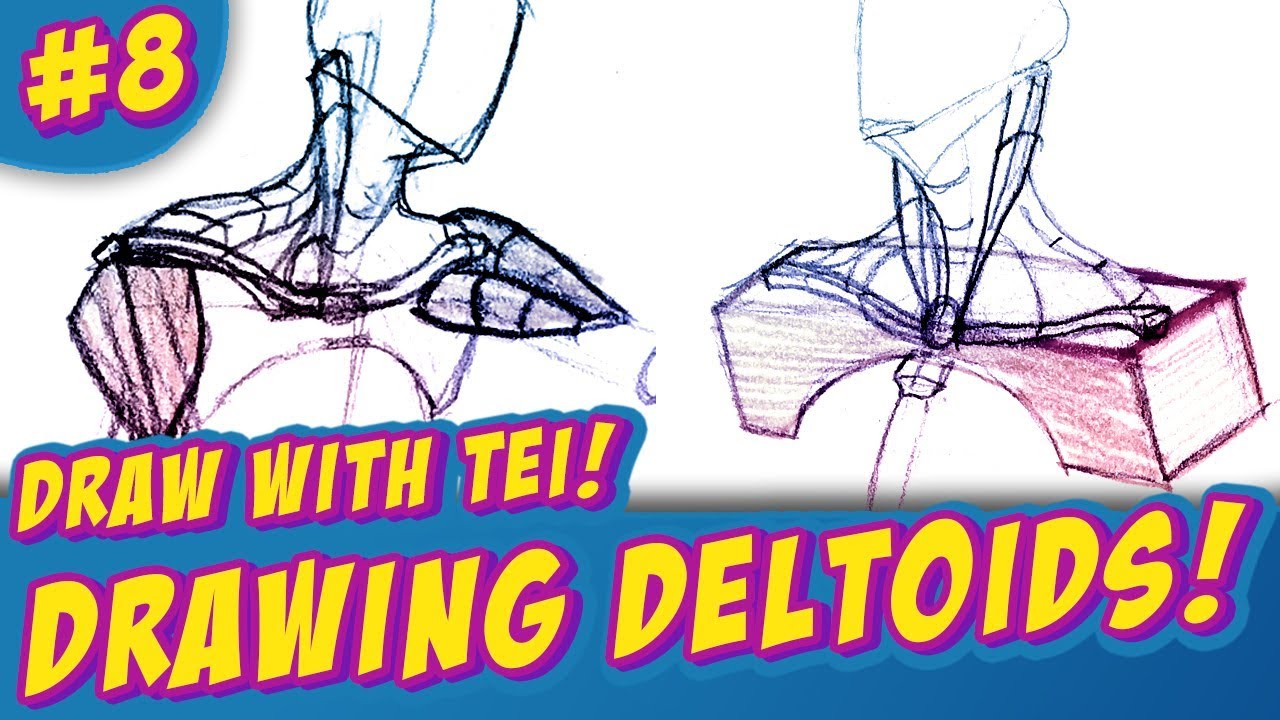 Drawing Human Anatomy (Deltoids) - Draw with Tei #8 - YouTube