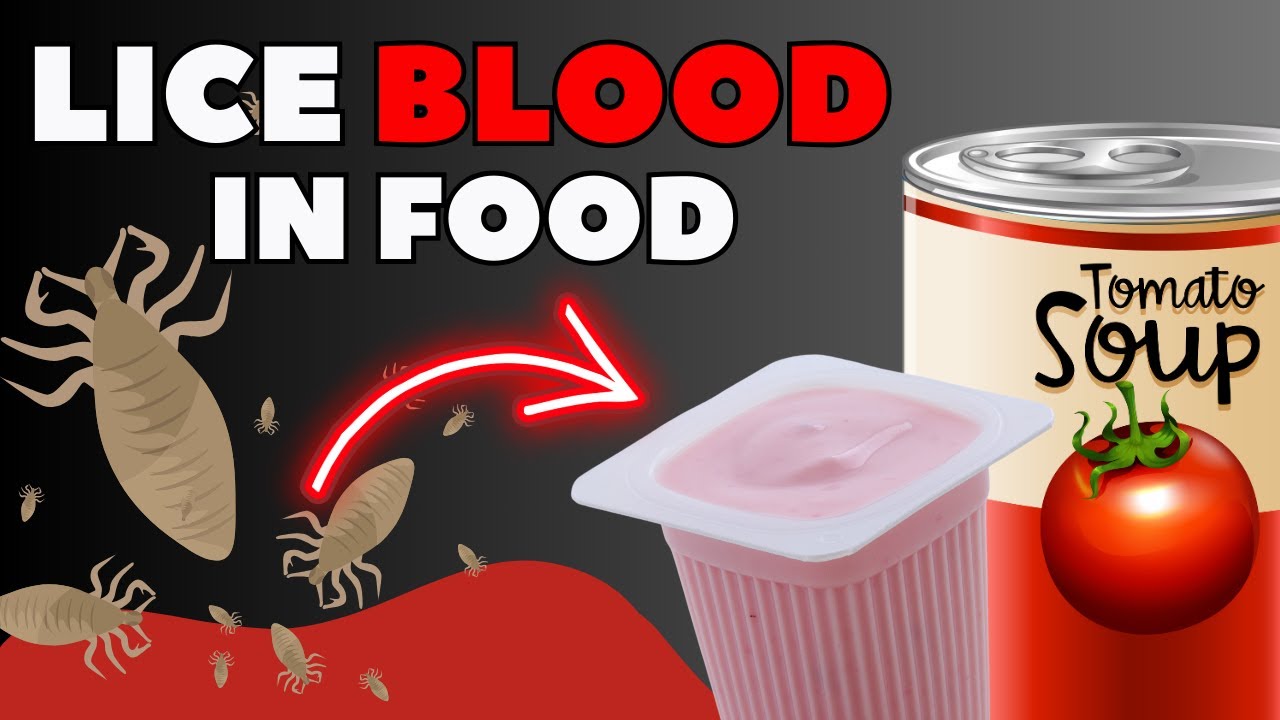 INSECT BLOOD In Tomato SOUP ?!?! - YouTube