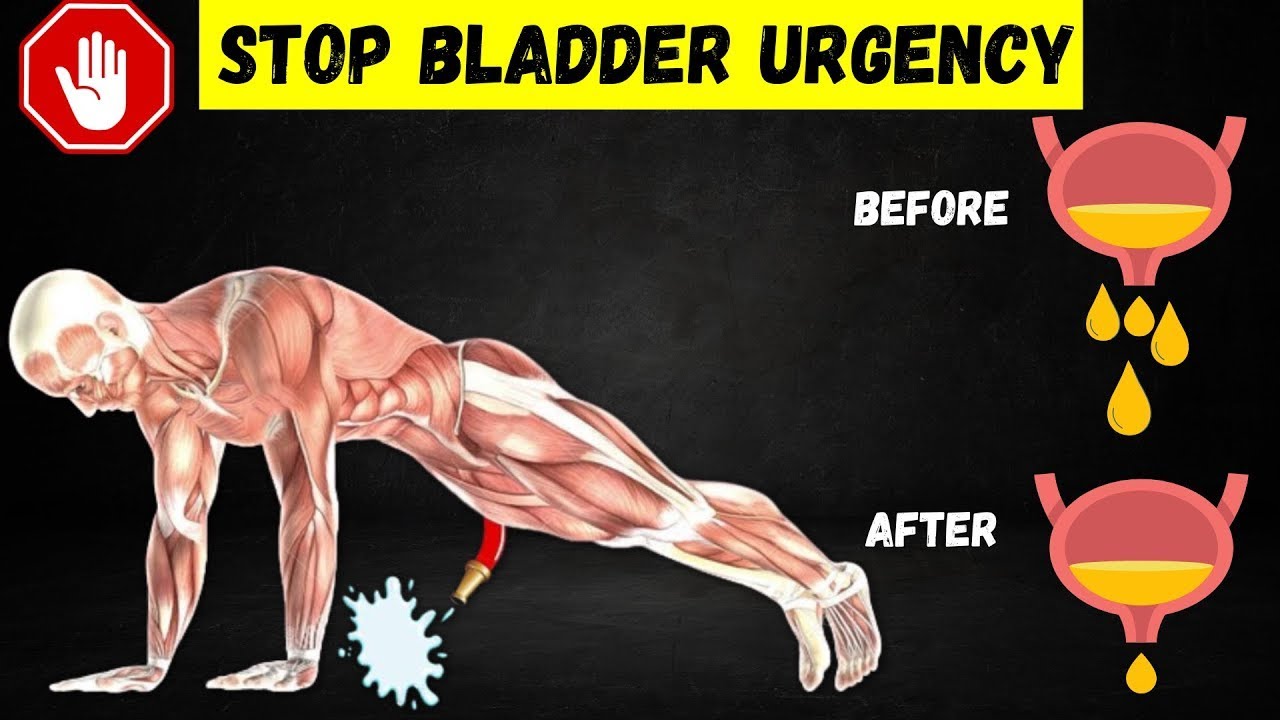 Effective Best Workout To Stop Bladder Urgency | PELVIC FLOOR - YouTube