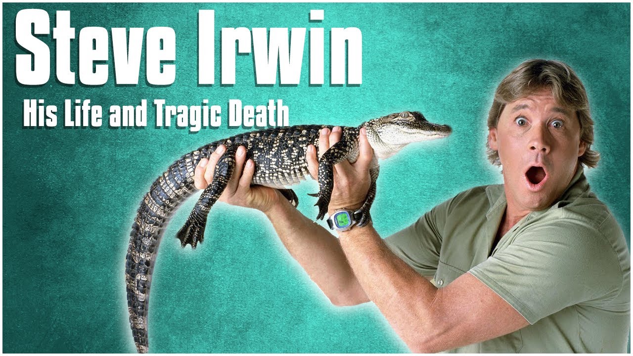 The Life and Tragic Death of Steve Irwin | Biography | Well, I Never ...