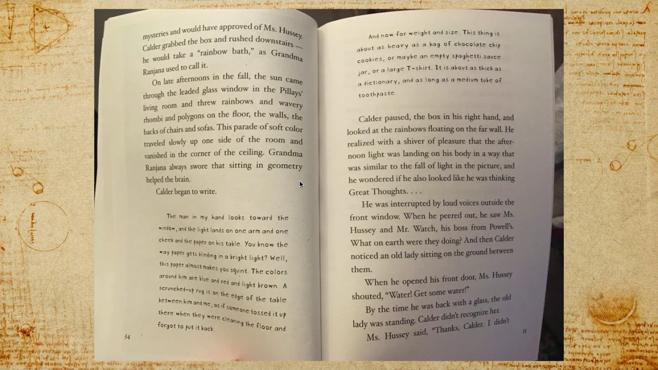 Chasing Vermeer- Chapter 6 - YouTube