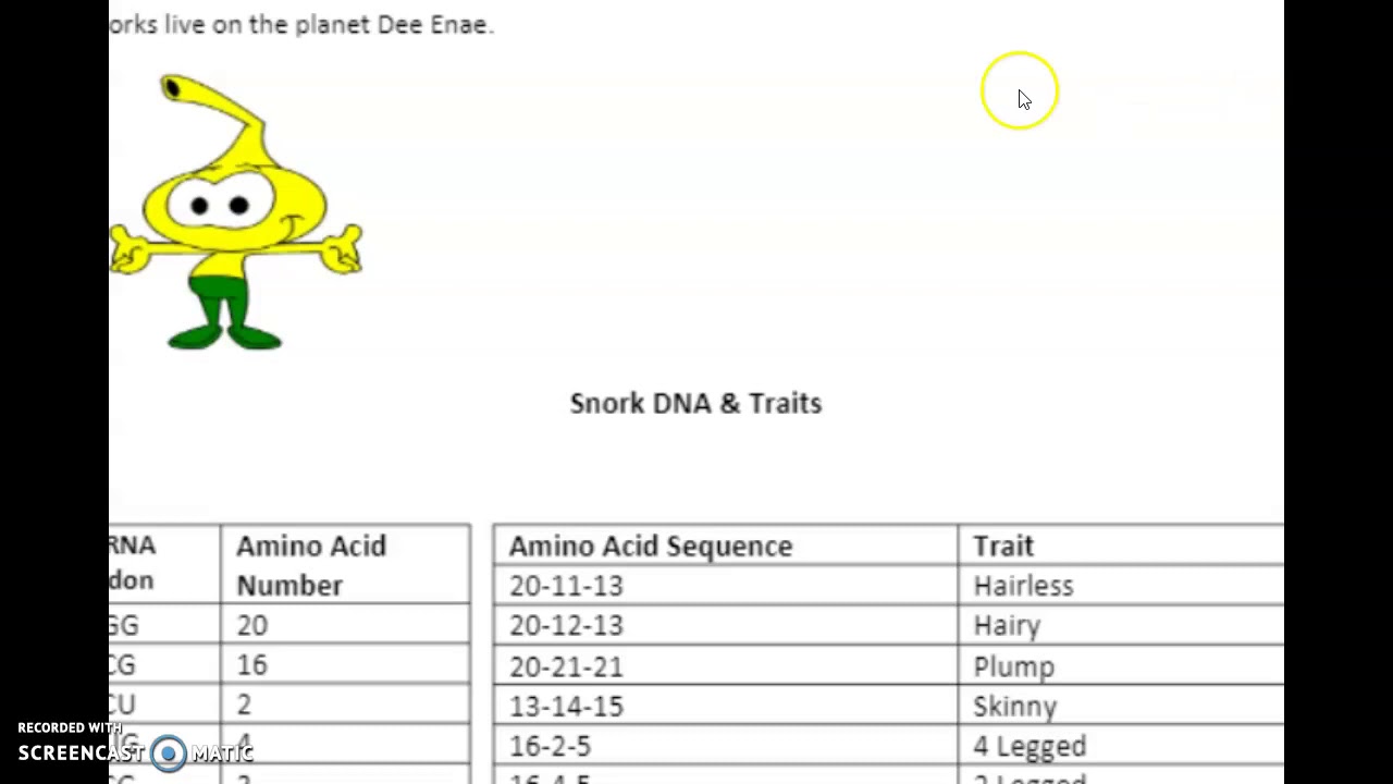 SNORK Activity Demonstration - Ms. P Teach Me - YouTube