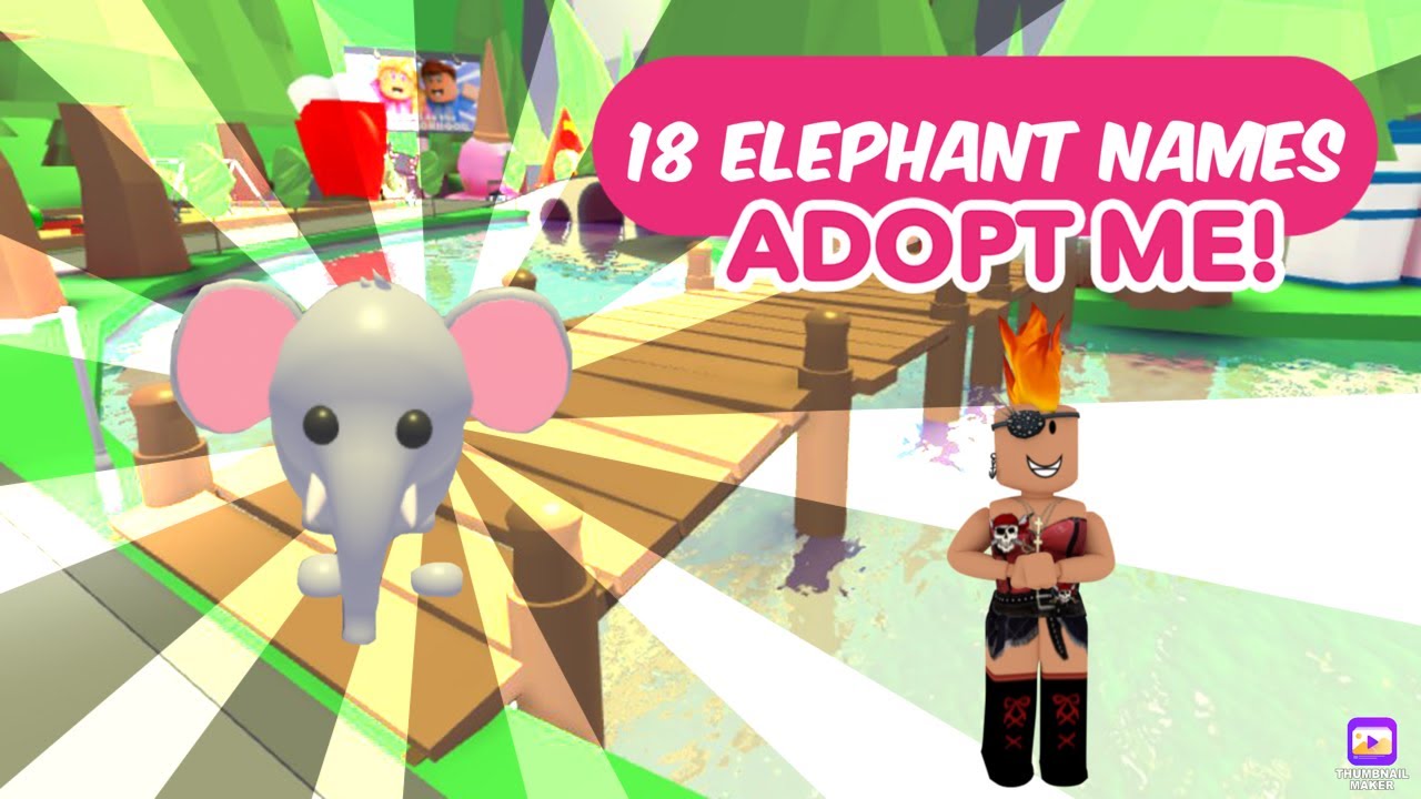 16 Elephant Names🐘 AND Shout Outs🤍 Adopt Me!! - YouTube