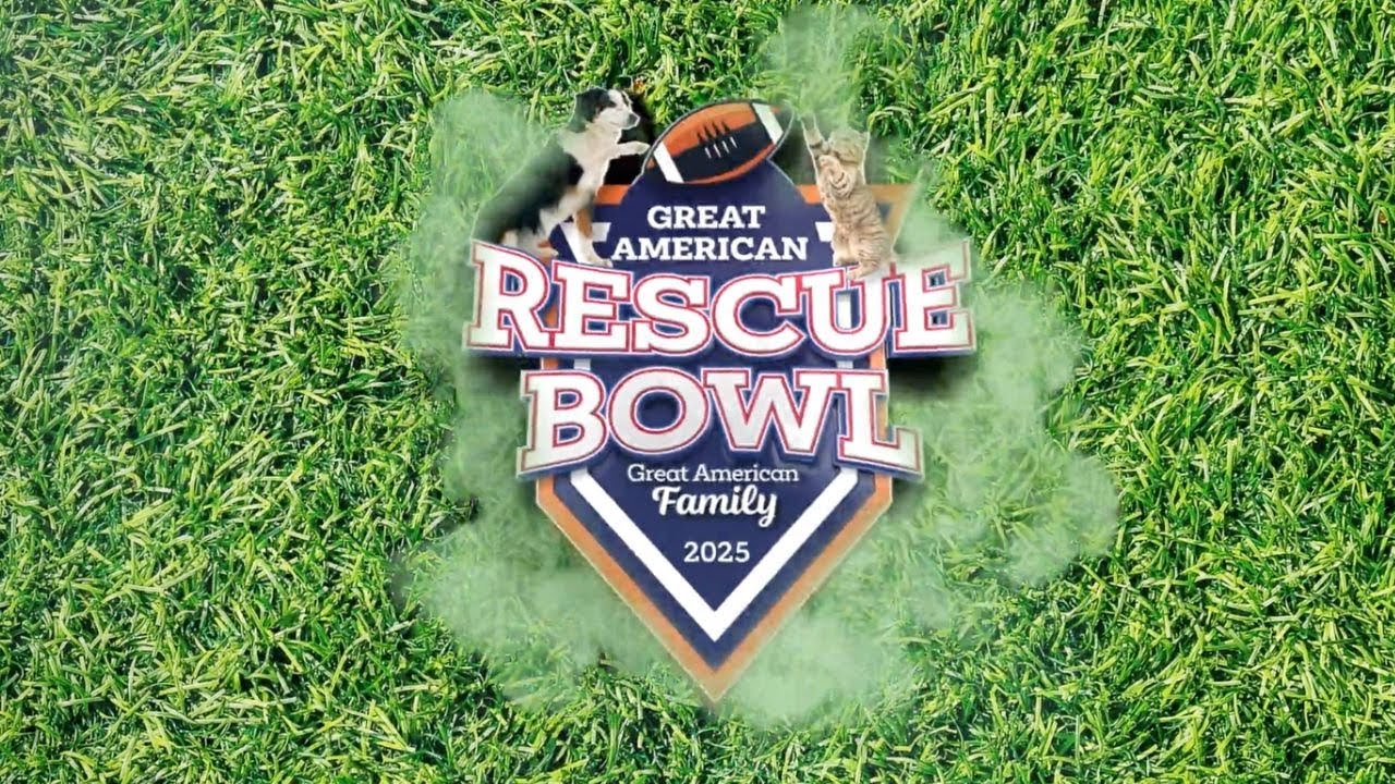 How to watch the 2025 Kitten Bowl live: Time, channel, streaming info ...