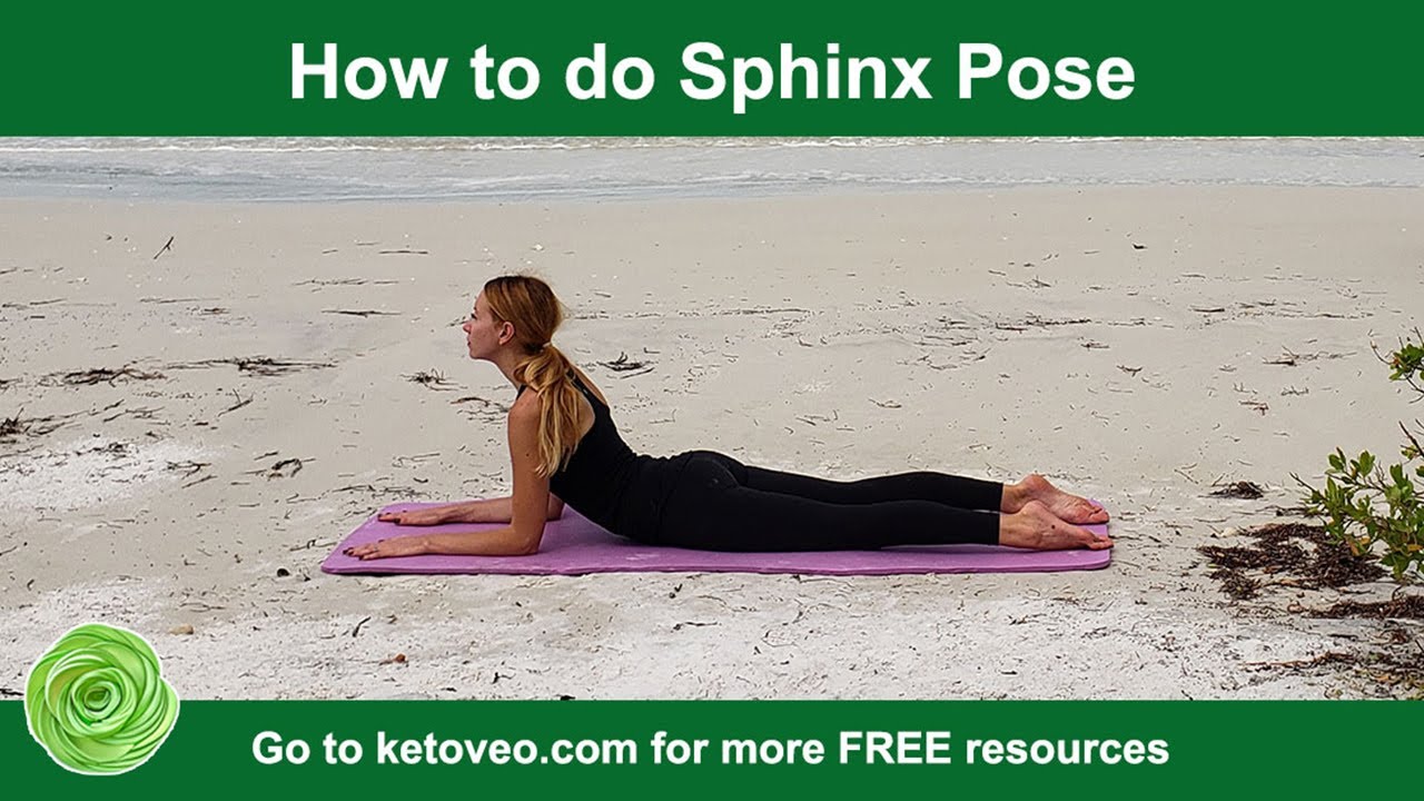 How To Do A Sphinx Pose Stretch - YouTube