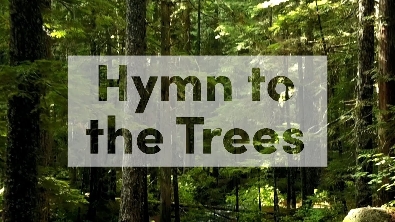 Charles Fernandez "Hymn to the Trees" - Forest Stories (3rd Movement ...