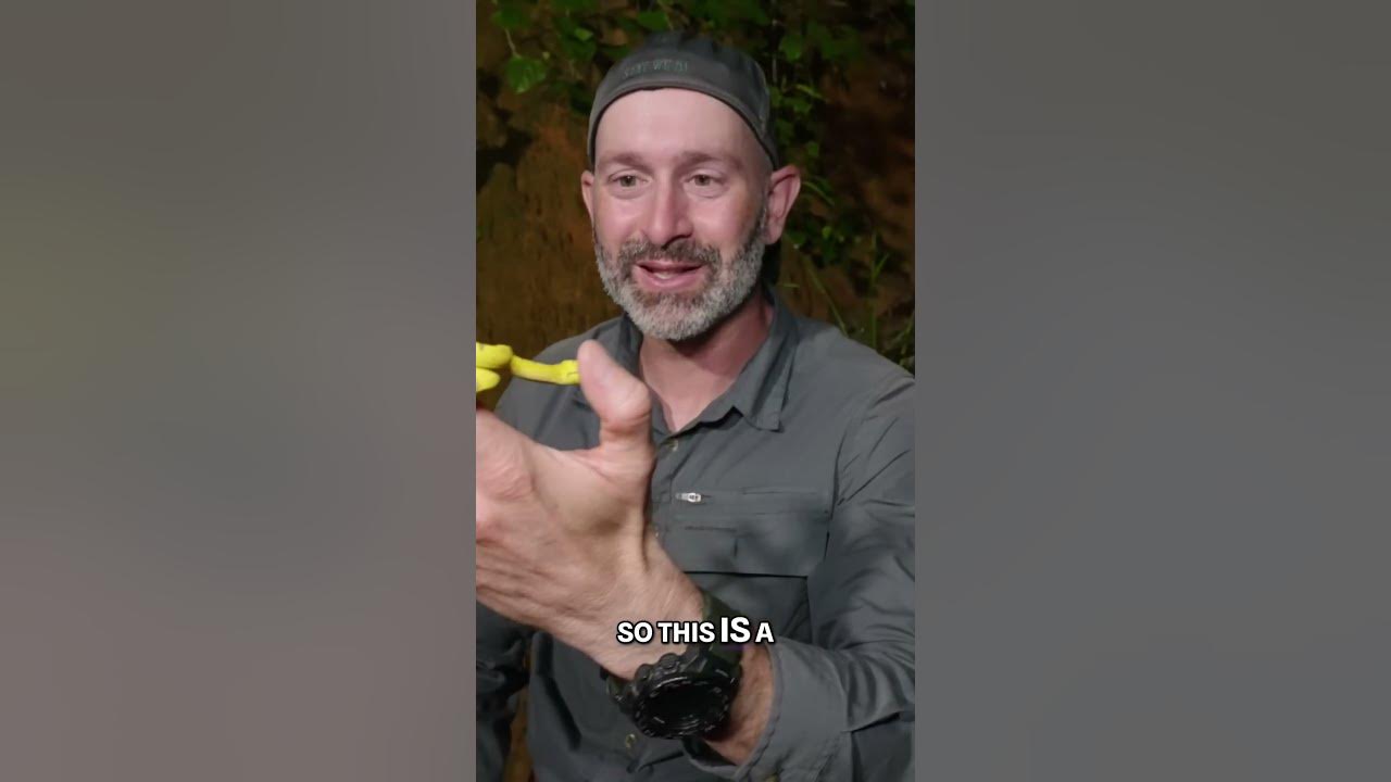 Discover the Stunning Color Change of Green Tree Pythons - YouTube