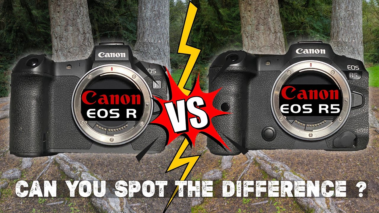 EOS r v EOS r5 | Side by side test | Landscape Photography - YouTube