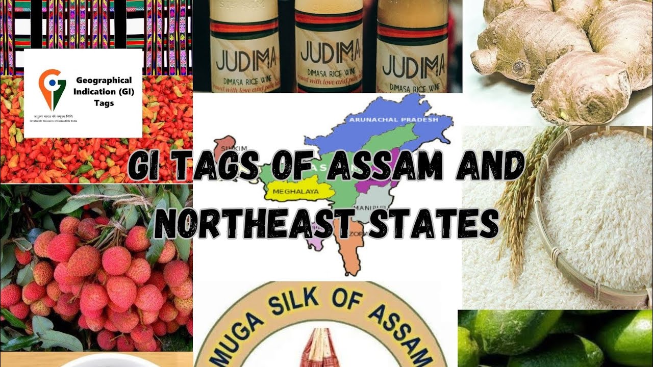 GI Tags of Assam and Northeastern states of India full list 2023||GI ...