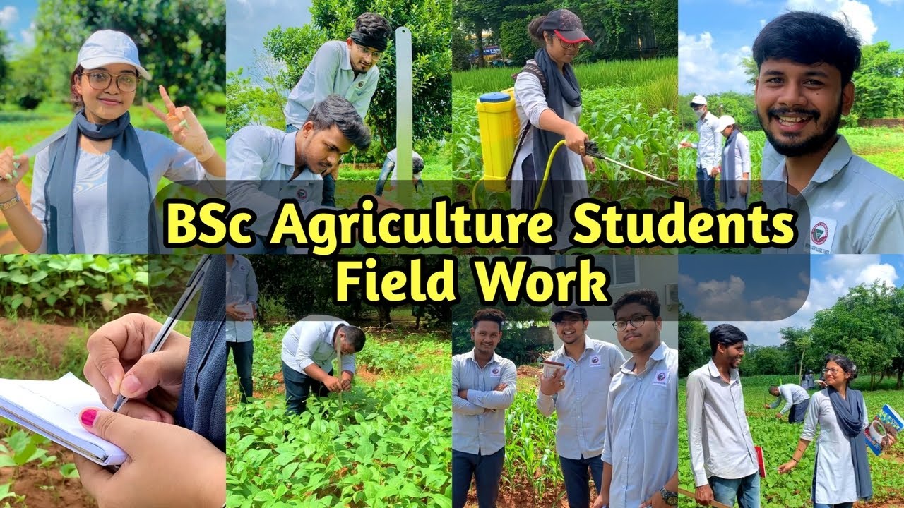 Life of Agriculture Students | BSc Agriculture Students Field Work ...